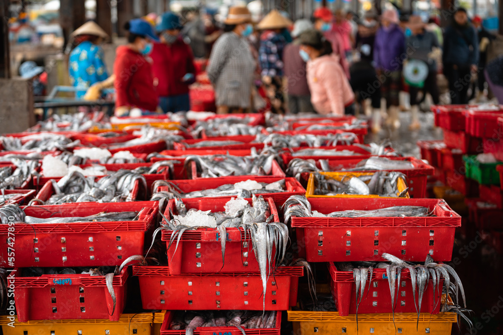 Crates of Silver Ribbon Fish in Fish Market, Luong Son Vietnam Stock ...
