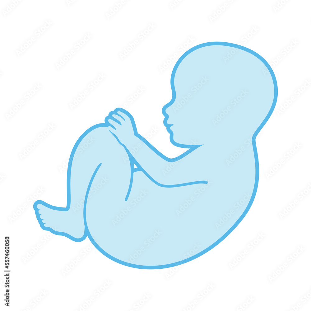 Cute baby boy newborn blue outline icon vector. Baby in fetal position ...