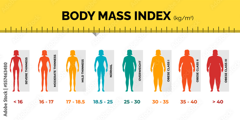 BMI Classification Chart Measurement Woman Colorful Infographic With BMI Classification Chart Measurement Woman Colorful Infographic With