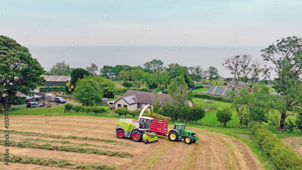 Claas Self Propelled Harvester lifting grass for Silage with a John ...