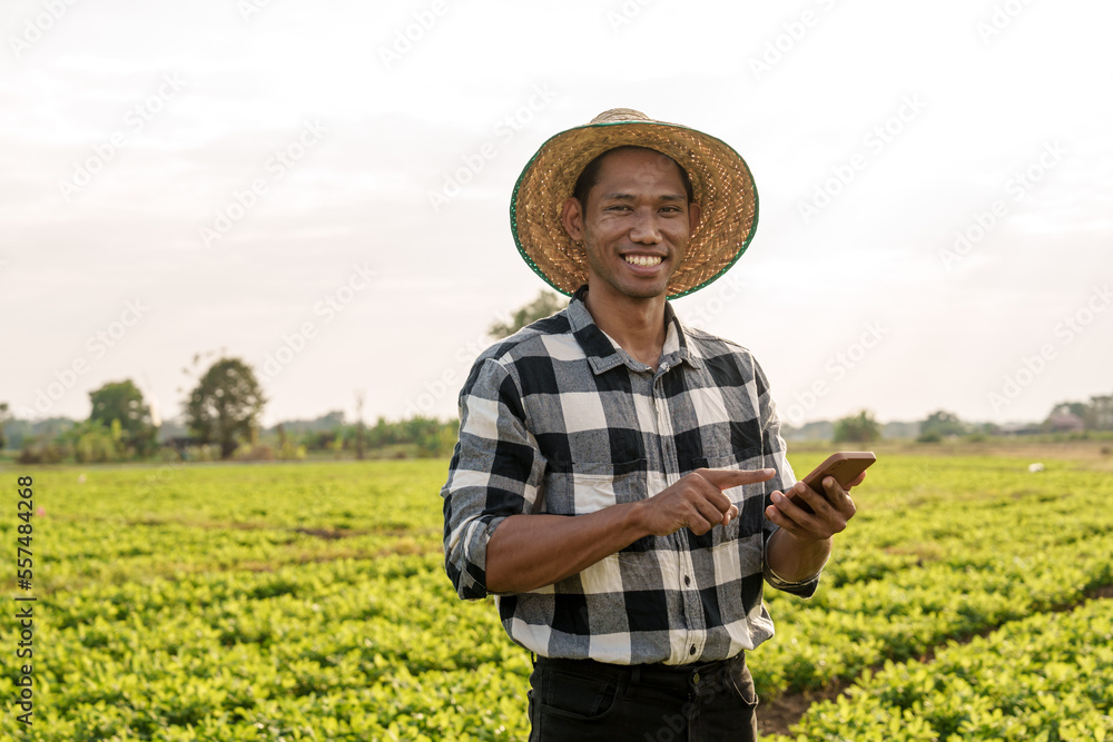 The concept of natural farming. Farmers hand touching the green leaves ...