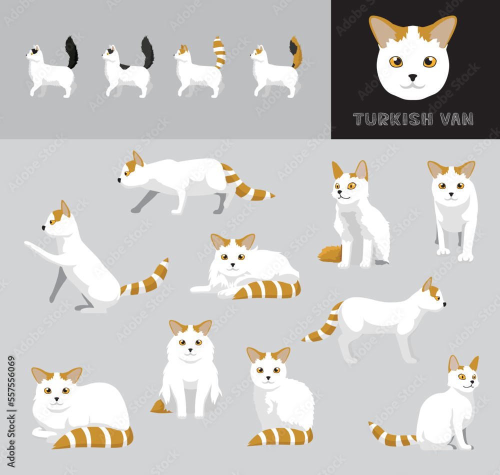 Cat Turkish Van Cartoon Vector Illustration Color Variation Set Stock ...