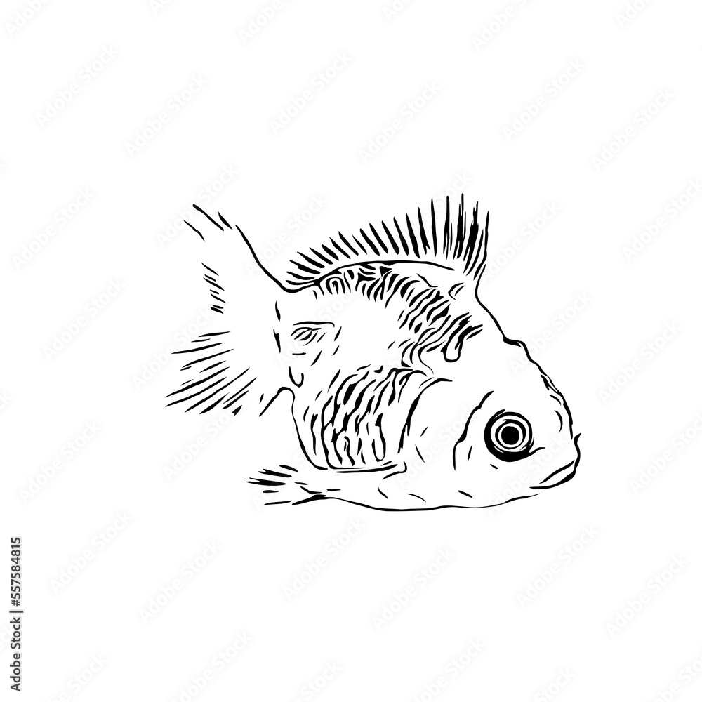 black and white drawing sketch of a fish with a transparent background ...