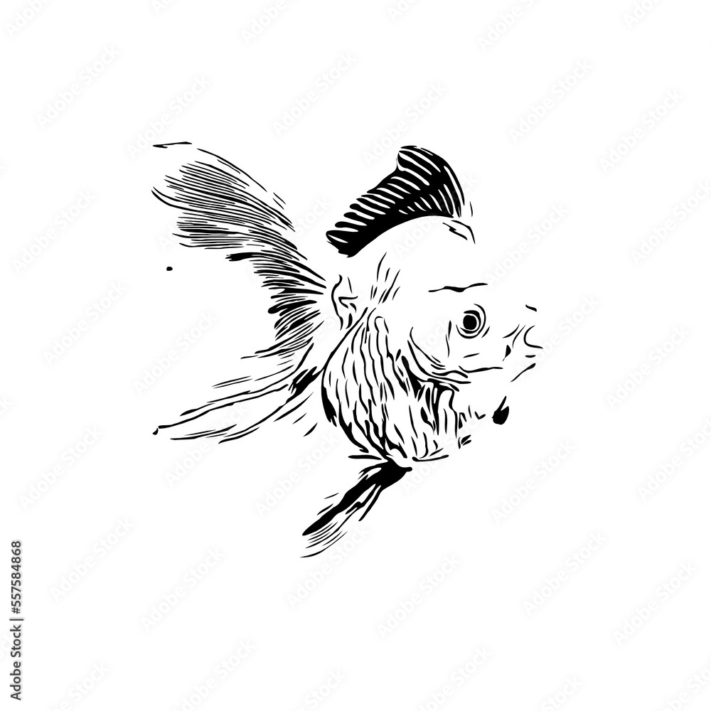 black and white drawing sketch of a fish with a transparent background ...