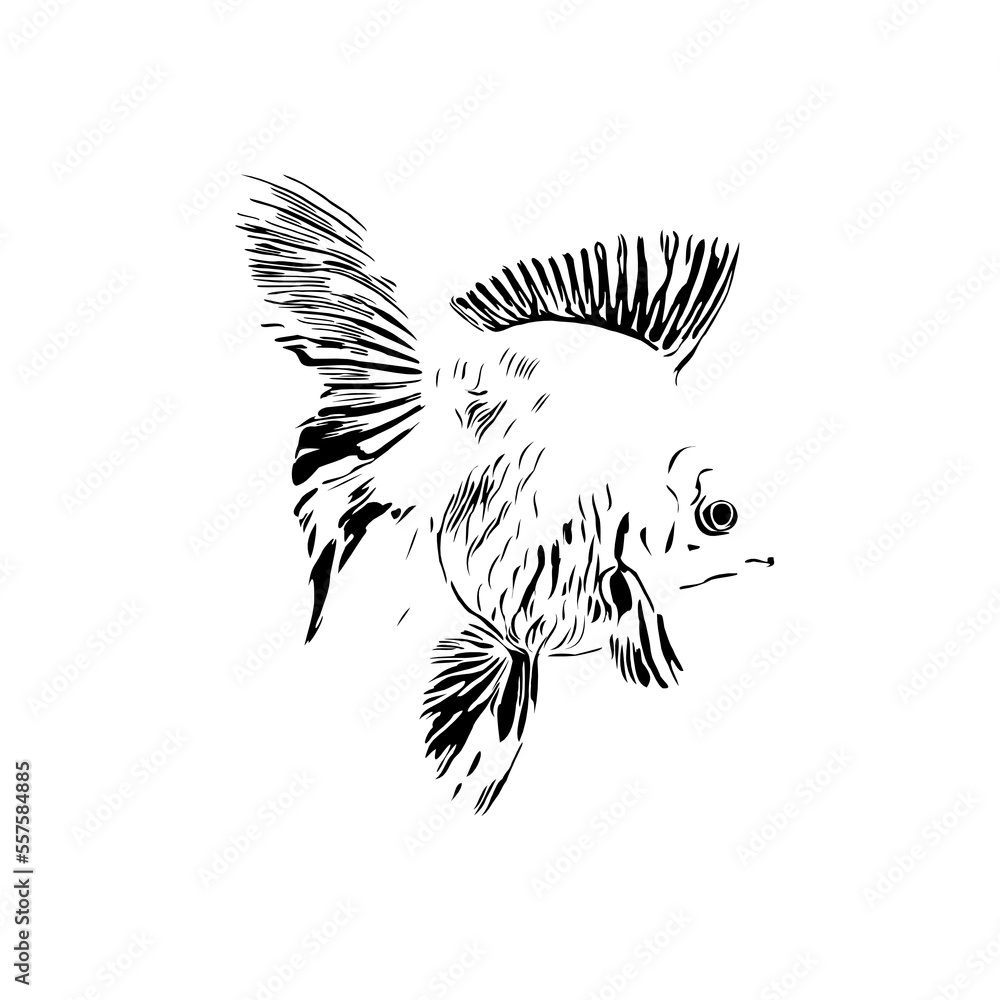 black and white drawing sketch of a fish with a transparent background ...