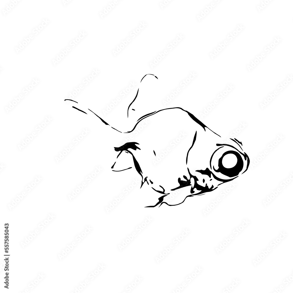 black and white drawing sketch of a fish with a transparent background ...