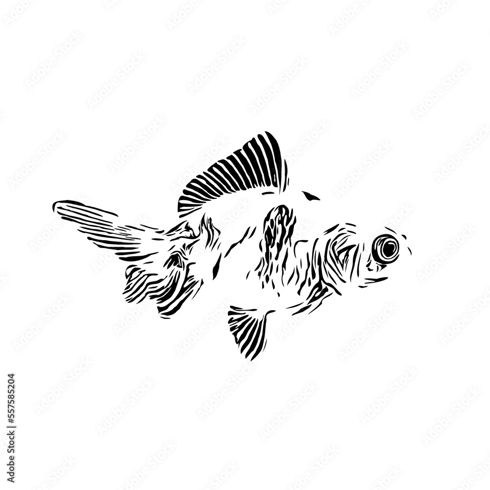 black and white drawing sketch of a fish with a transparent background ...