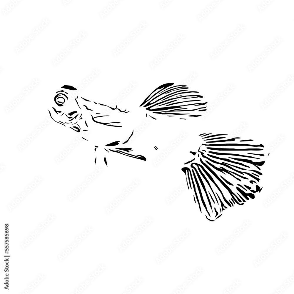 black and white drawing sketch of a fish with a transparent background ...