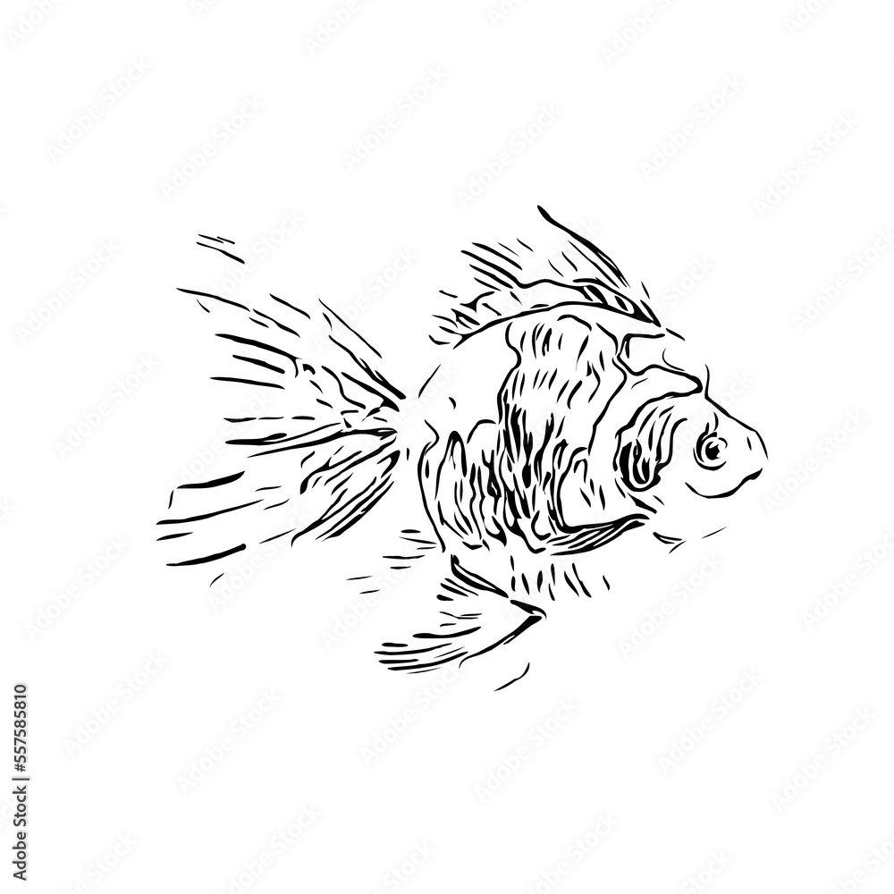 black and white drawing sketch of a fish with a transparent background ...