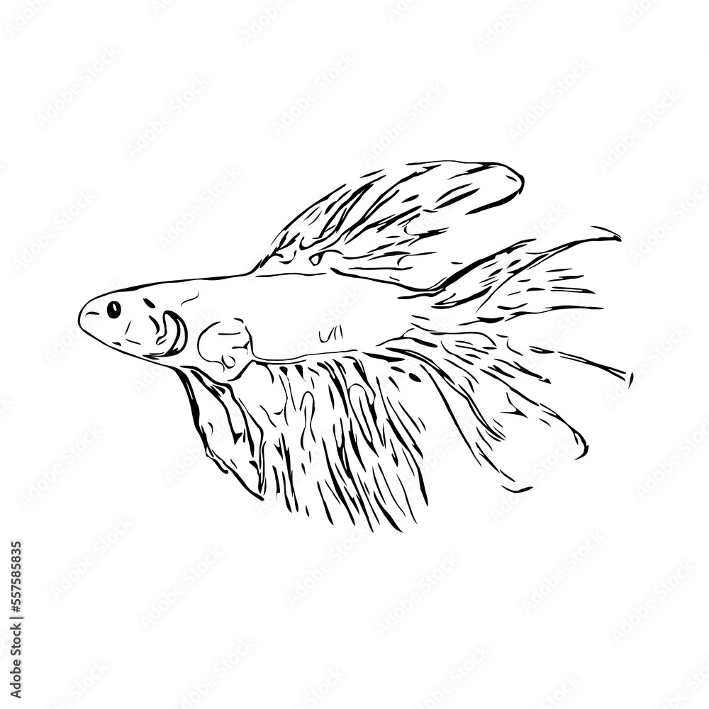 black and white drawing sketch of a fish with a transparent background ...