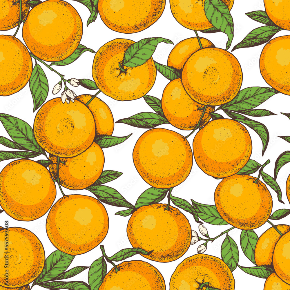 Vecteur Stock Orange fruit hand drawn design. Seamless pattern. Vector ...