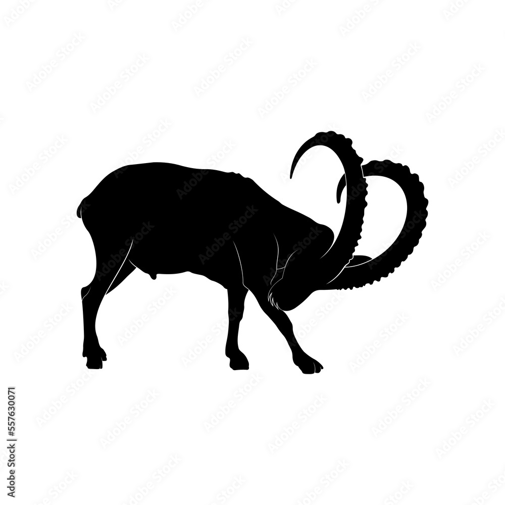 Ibex silhouette on white background Stock Vector | Adobe Stock