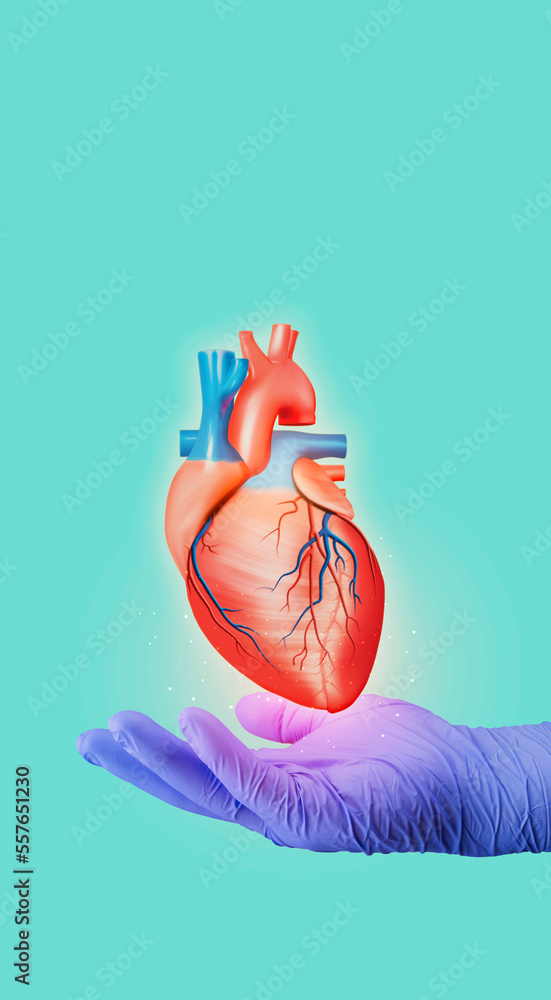 Hand and human heart on isolated green background, . Cardiology and ...