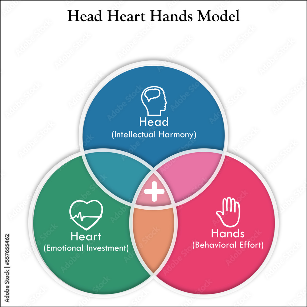 Head Heart Hands Model with Icons in an Infographic template Stock ...