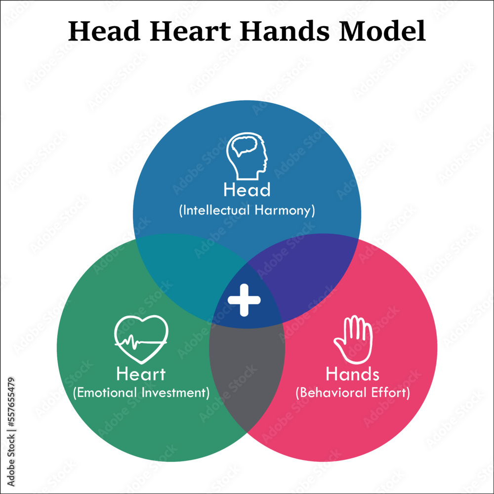 Head Heart Hands Model with Icons in an Infographic template Stock ...