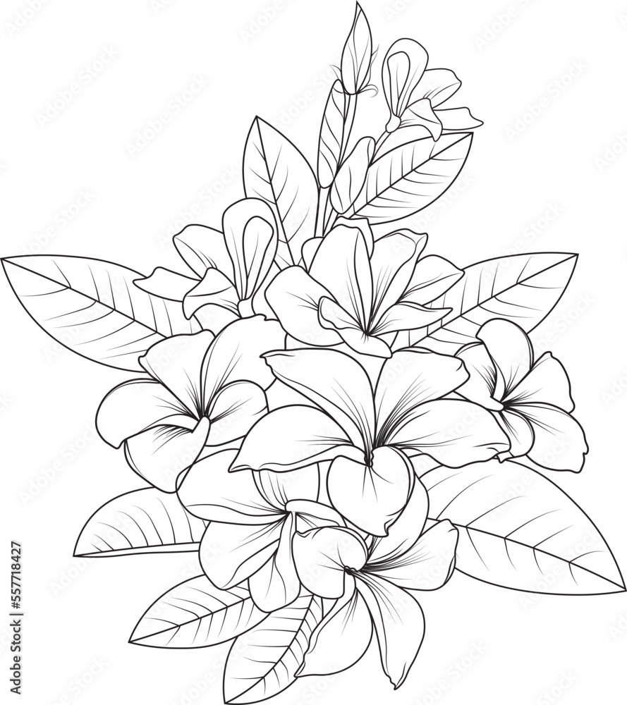 Set of a decorative stylized frangipani flower isolated on white ...