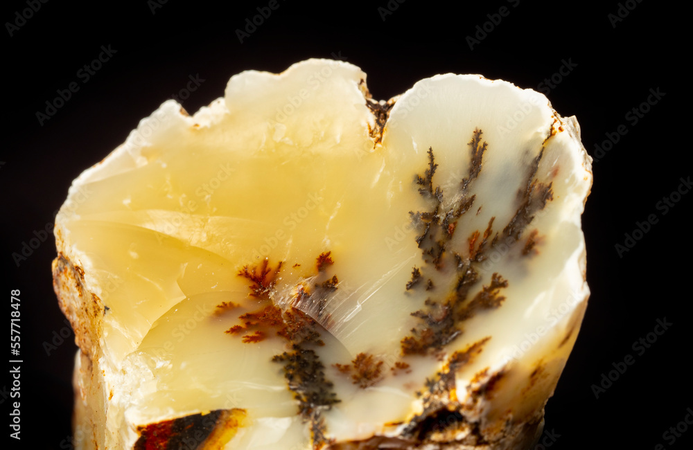 Dendritic opal. Opal on a black background. Opal is a hydrated ...