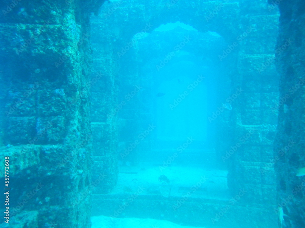 Neptune Memorial Reef Arches Underwater 4k Photo Coral in the Ocean ...