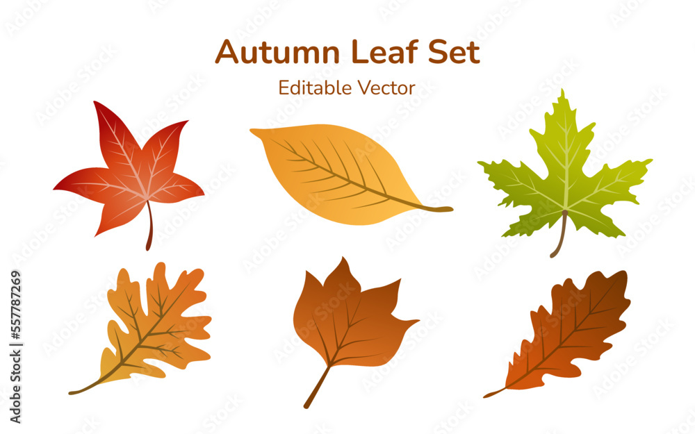 Colorful autmn leaves set, isolated on white background. Simple cartoon ...