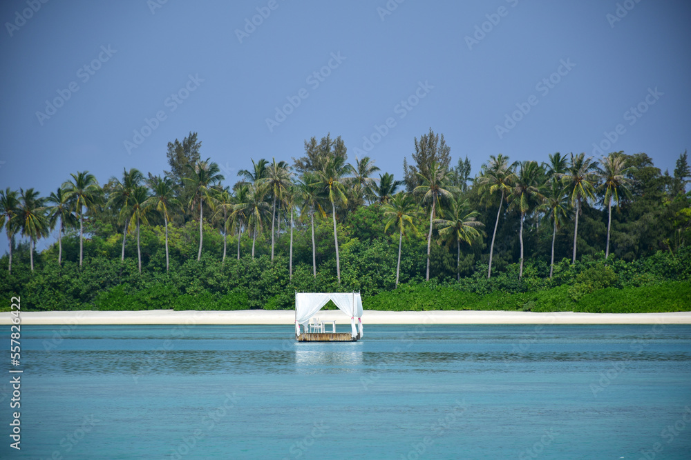 Maldives island landscape. Water, sand and greenery. Lush, tropical ...