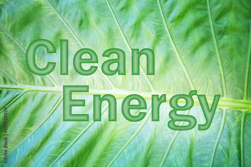 Words clean enregy on green sunny background. Saving environment, save ...