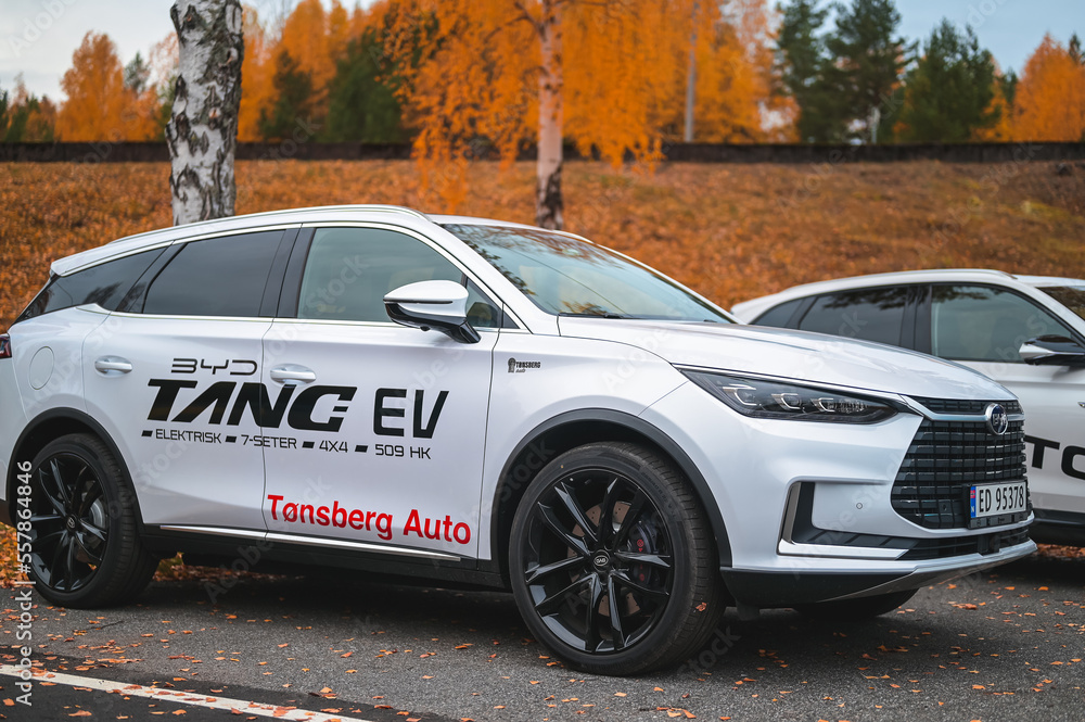 Hoff, Norway - November 14, 2022: new electric cars on the test circuit ...