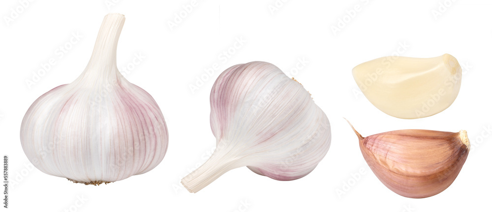 Isolated garlic, transparent png, collection, PNG format, cut out Stock ...