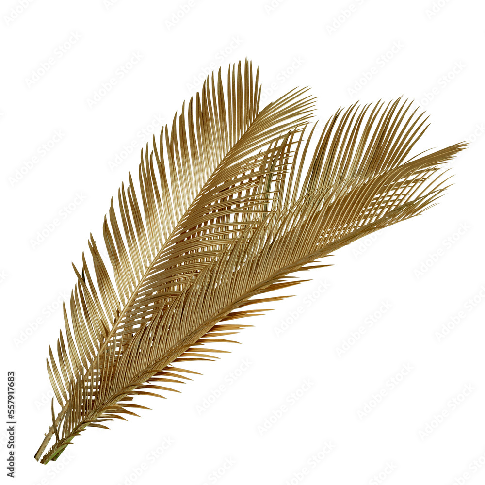 Golden palm leaf PNG on transparent background Abstract monstera leaf ...
