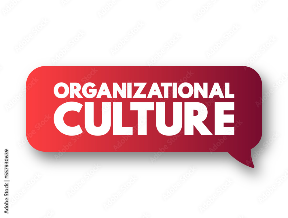 Vetor De Organizational Culture Collection Of Values Expectations And Practices That Guide