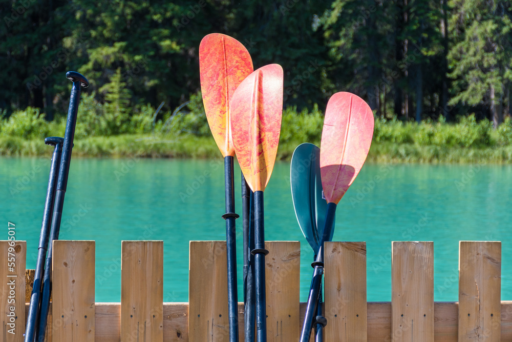Kayak boat paddles learning against wooden fence along the Bow River in ...