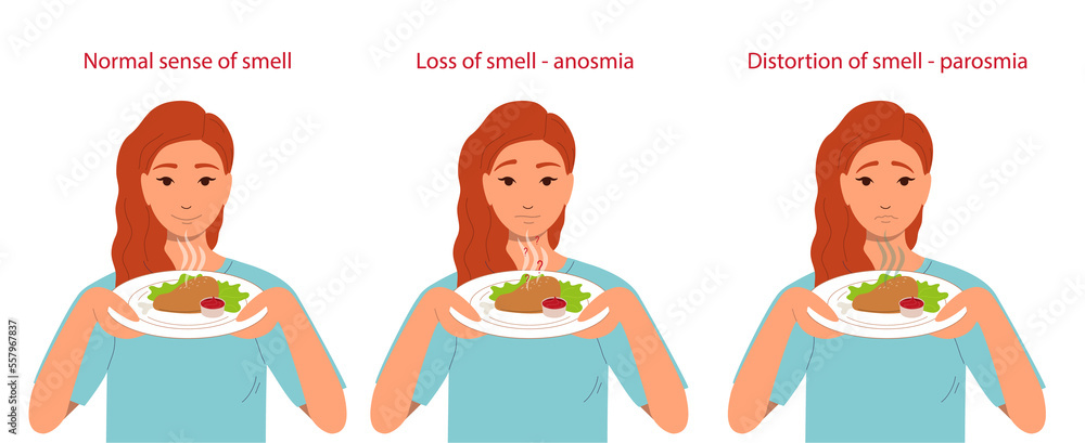 Normal sense of smell, anosmia and parosmia are the consequences of a ...