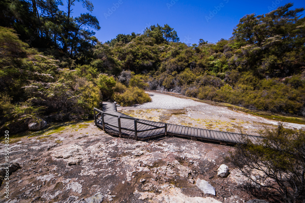 Rotorua Wai-o-Tapu weird and unique landscape, geothermal activity ...