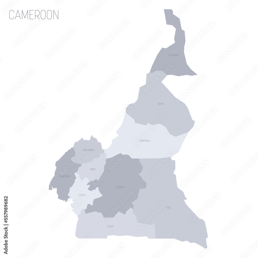 Cameroon political map of administrative divisions - regions. Grey ...