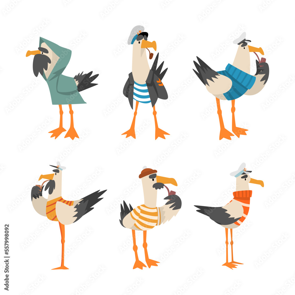 Funny seagull captains set. Cute bird sailors characters in cap and ...