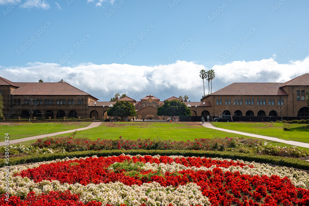Stanford Campus Wallpaper