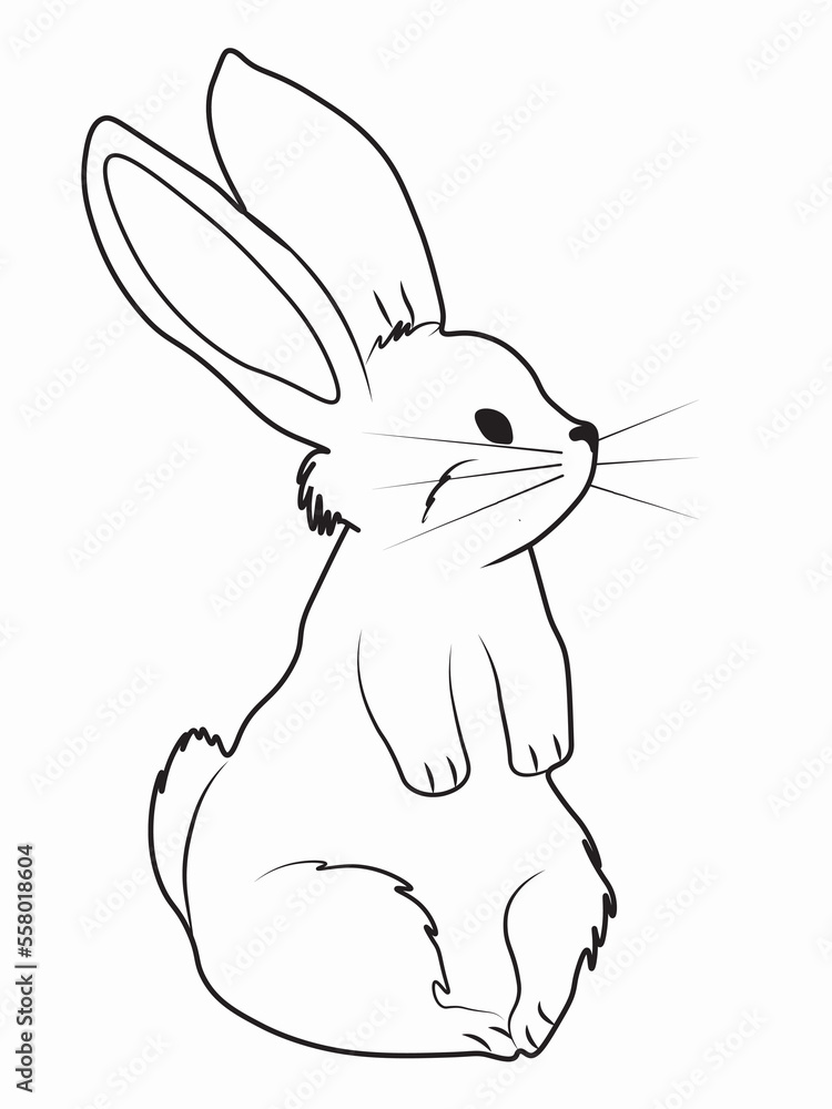 linear drawing of Cute lovely pretty bunny, rabbit or hare. It's on the ...
