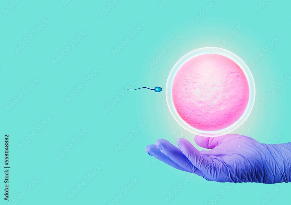 Natural Human Insemination