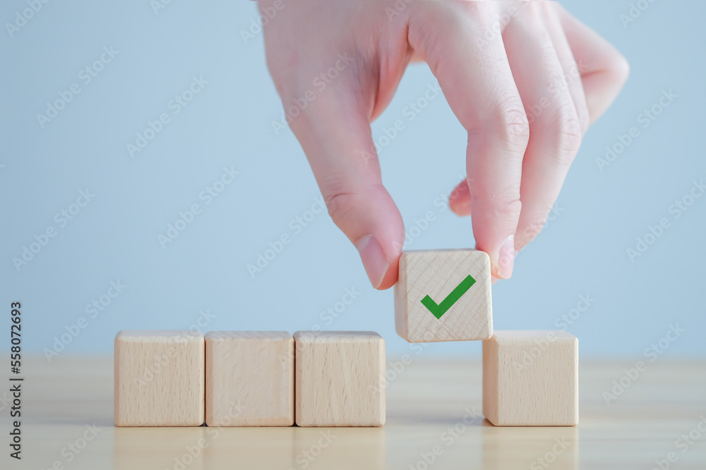 Elections and Voting, Vote, to do list, checklist, Task list, Survey ...