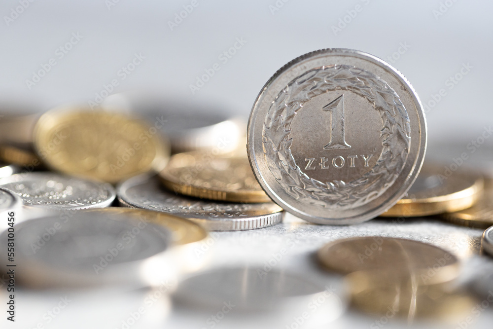 Jeden złoty, Polski bilon, Moneta PLN Stock Photo | Adobe Stock