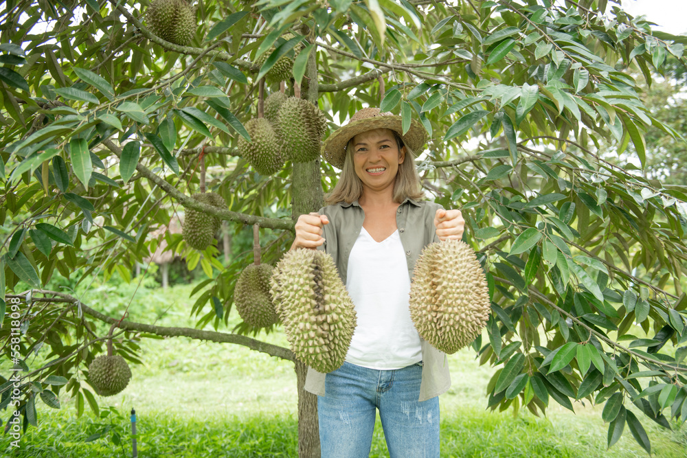 Happy young asian woman farmer holding durian in durian plantation ...
