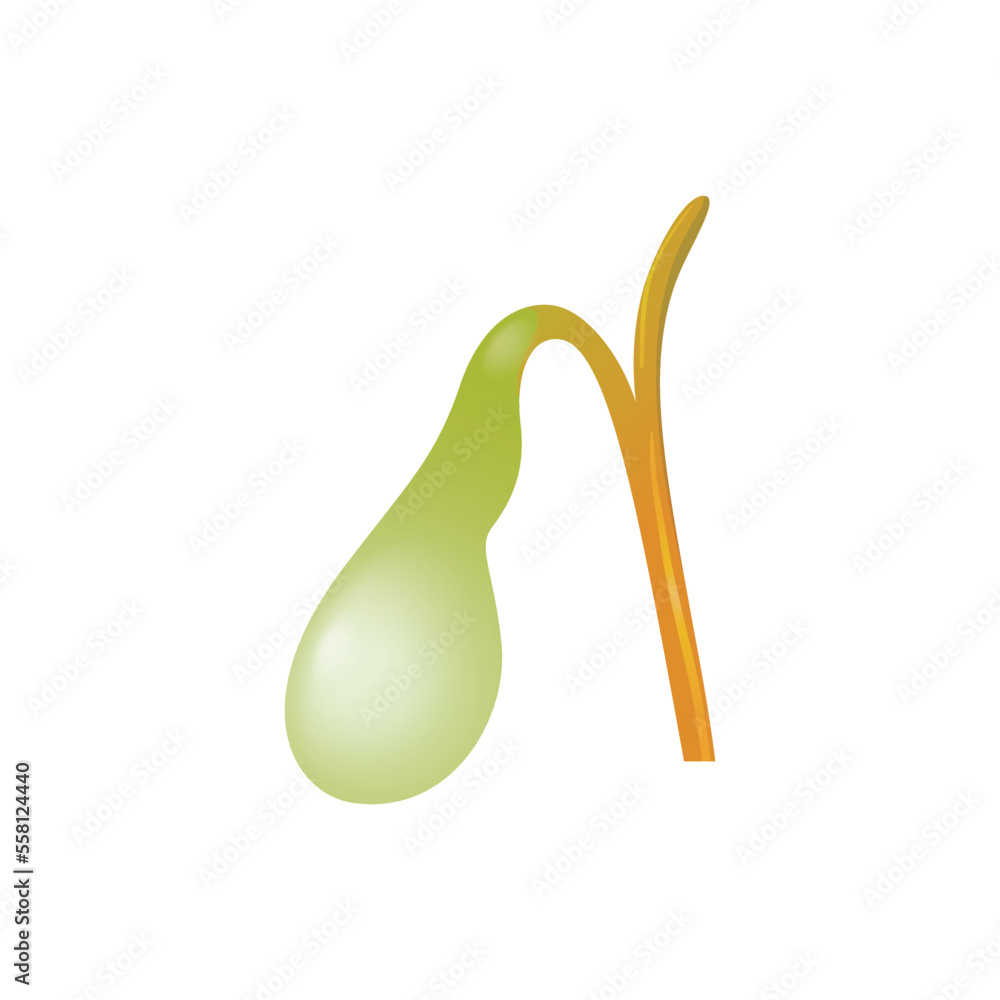 Scientific Designing of Gallbladder Anatomy. Vector Illustration. Stock ... Scientific Designing of Gallbladder Anatomy. Vector Illustration. Stock ...