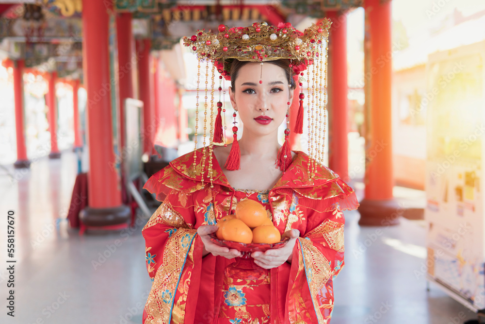 portrait of a woman. person in traditional costume. woman in ...