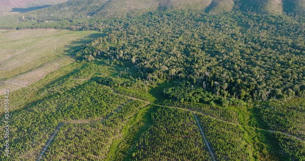 High aerial panning view of deforestation of a beautiful sub tropical ...