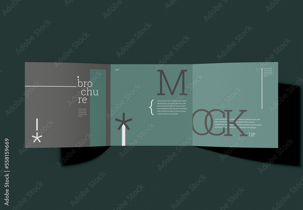 Trifold Brochure Mockup Stock Template | Adobe Stock