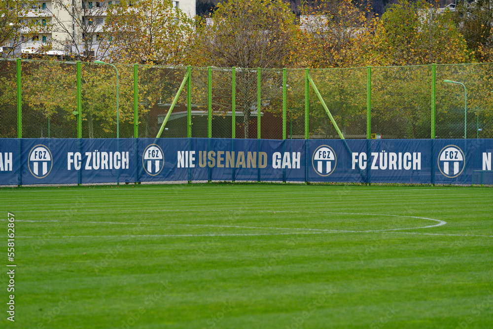 Football field at campus of Zürich football club FCZ on a cloudy autumn ...