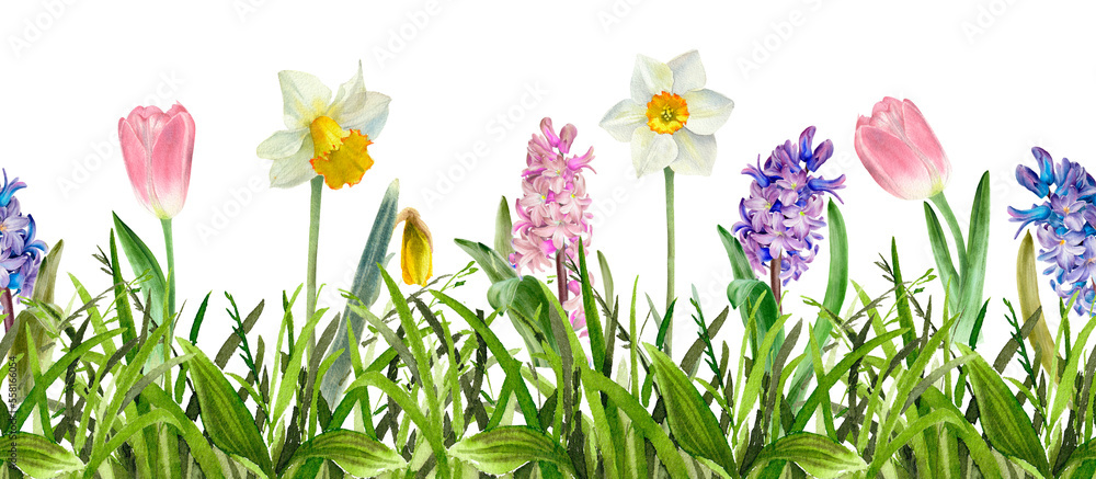 Green grass with spring flowers seamless border. Watercolor ...
