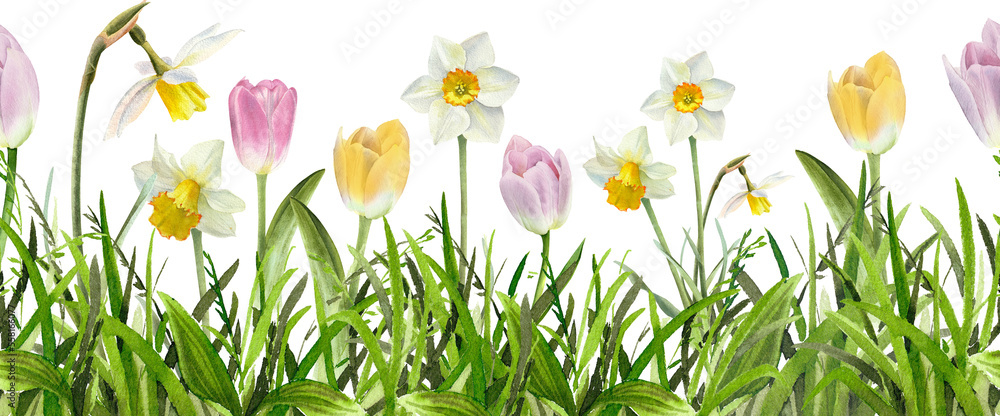 Green grass with spring flowers seamless border. Watercolor ...