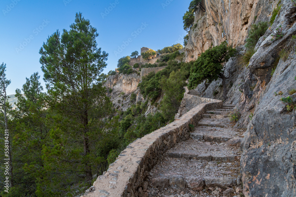 Ancient stone steps hewn into mountain leading to Castell Alaro on ...