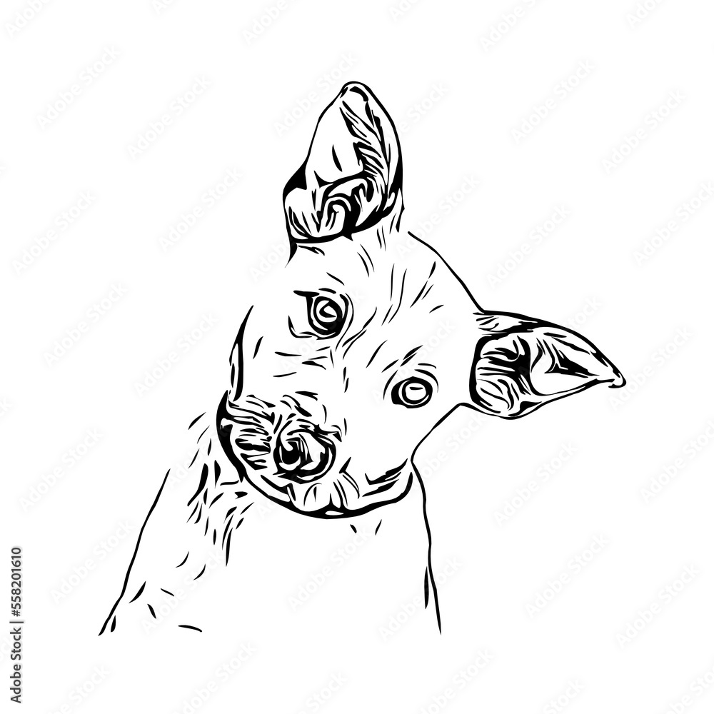 black and white drawing sketch of a dog with a transparent background ...