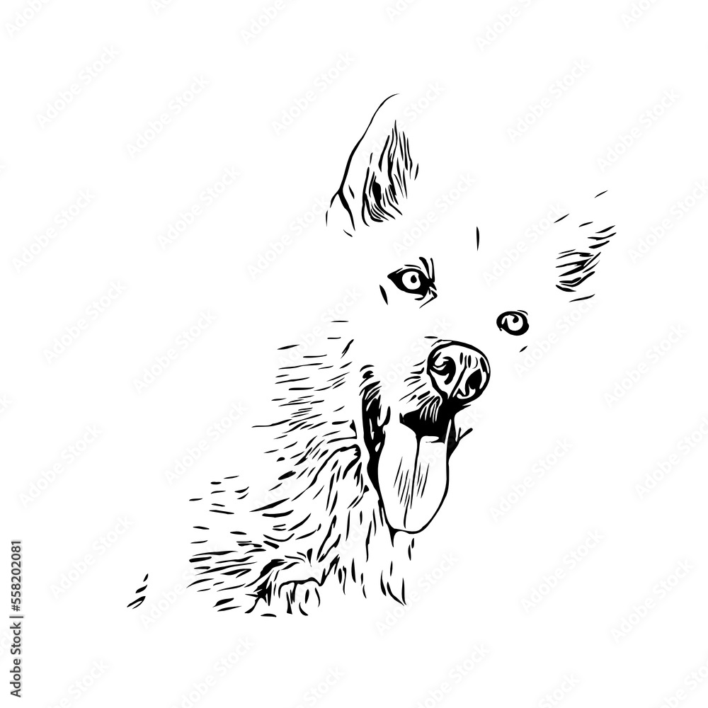 black and white drawing sketch of a dog with a transparent background ...